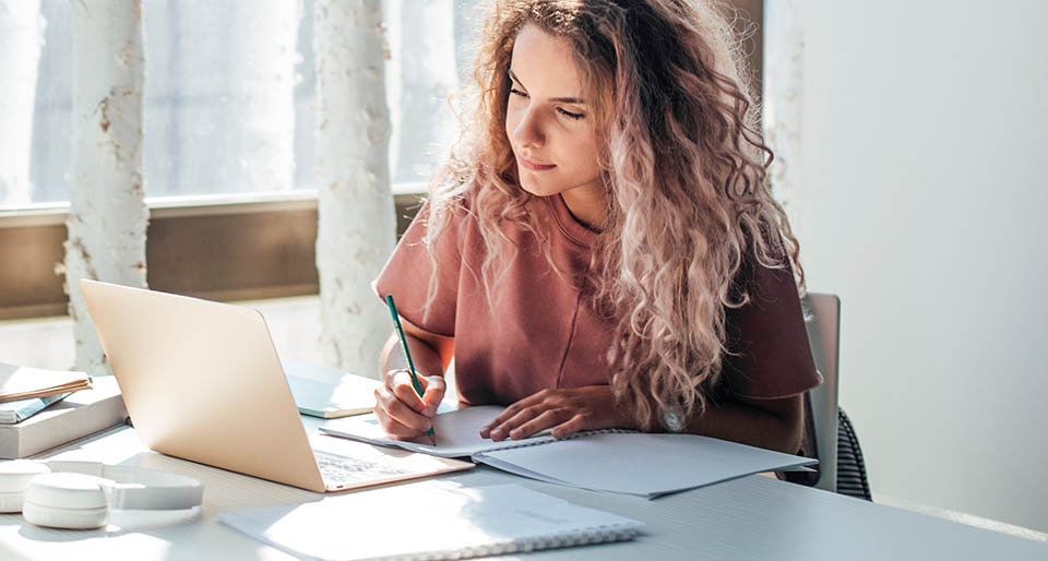 Quantum Learning Mentor Program