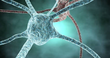 What Does "Neurons that Fire Together Wire Together" Mean?